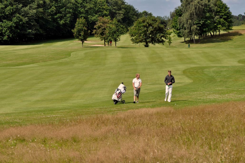 About STERF - Stiftelsen för Forskning och Utveckling av Grönytor för ...