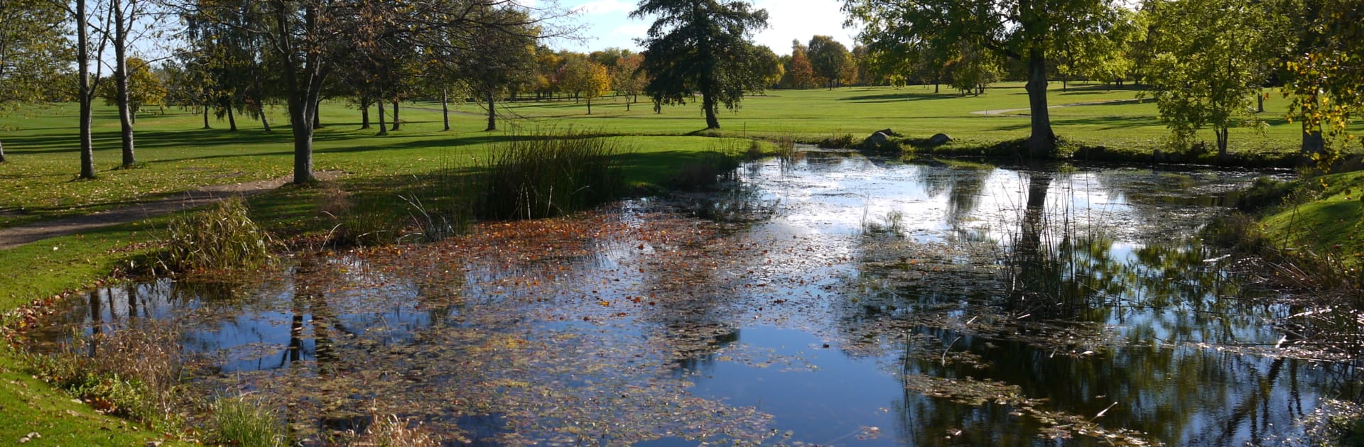 Multifunctionality in golf courses – effects of different management ...