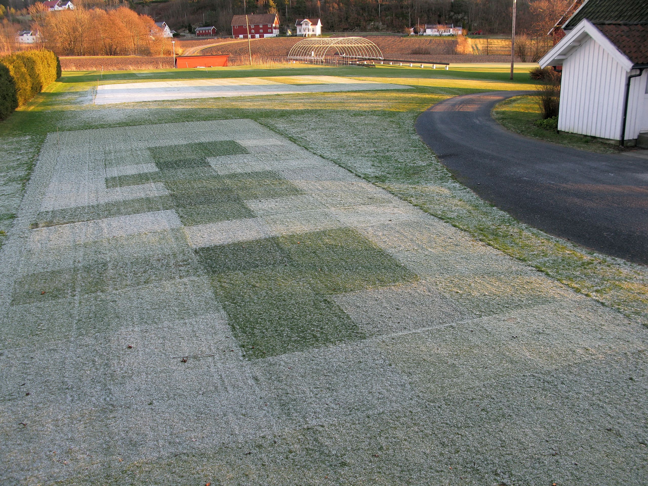 Turfgrass species & varieties - Stiftelsen för Forskning och Utveckling ...
