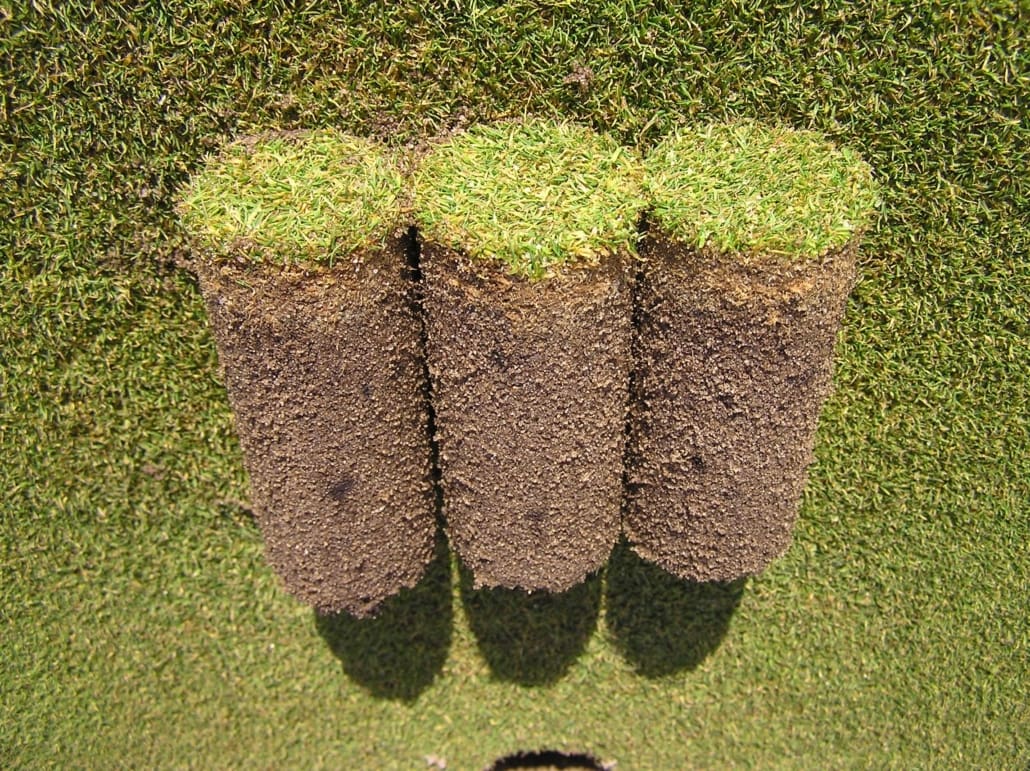 Effects of demand-driven fertilisation on growth, appearance and ...